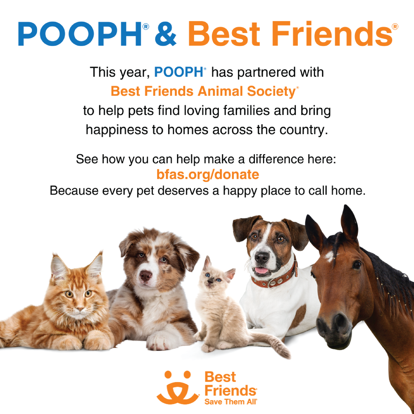 POOPH® Pet Odor Eliminator