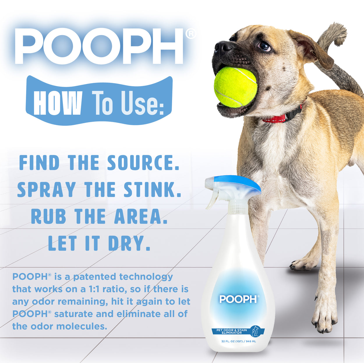 Tips & Tricks – POOPH